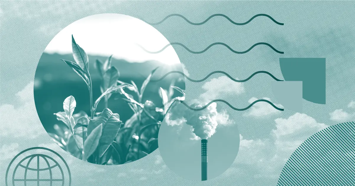 Carbon Offsets vs. Carbon Credits - IFRSLab